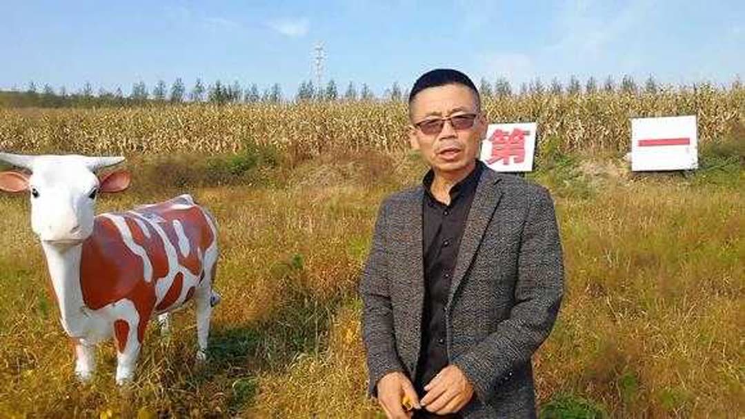 现场演示怎样估算牛的体重,对朋友出门购牛还是很有帮助的。