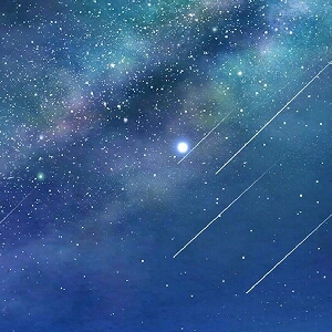 獬豸fne 