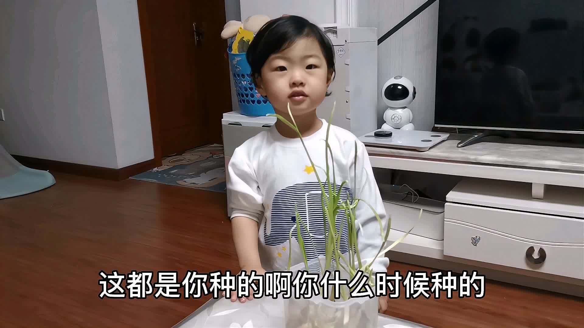 熊孩子研究奶奶种的蒜,好奇怎么在水里生长,跟爸爸说是她种的蒜