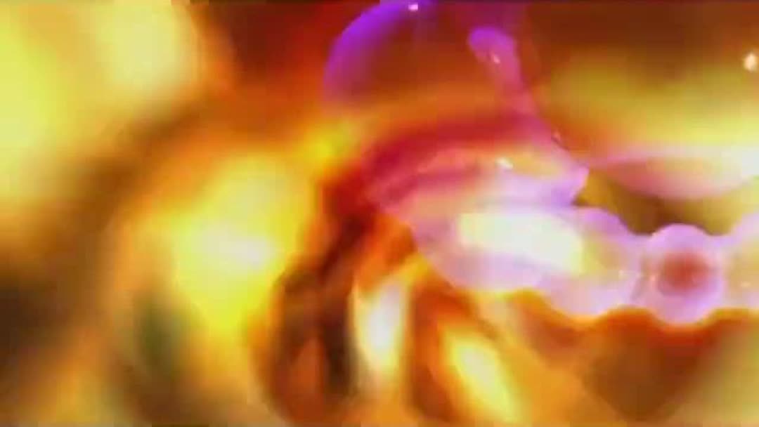 宠物犬图片大全宠物狗种类家养宠物狗