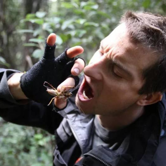 荒野求生-赵贵族 