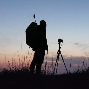 一剑扫秋风nelson 