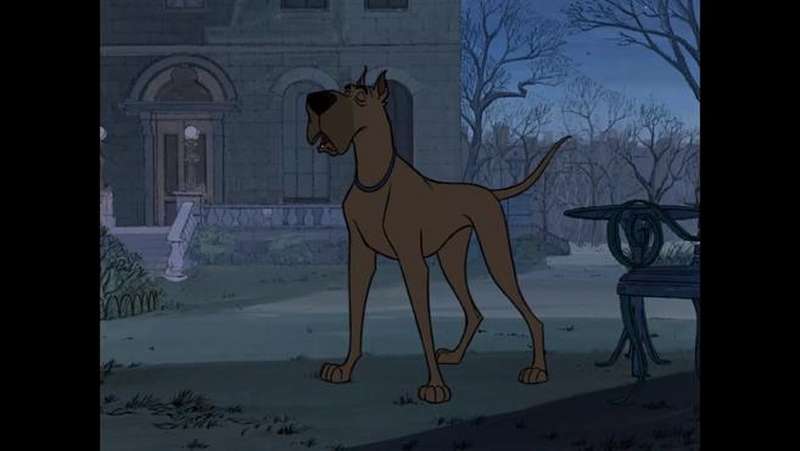 狗狗向大狗传递信息,狗宝宝们不见了,所有狗进入戒备状态