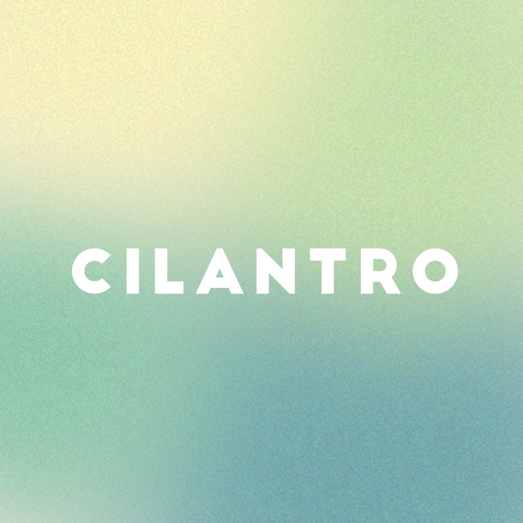 -CILANTRO 