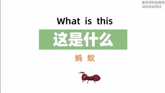 儿童百科 蚂蚁-科普动画