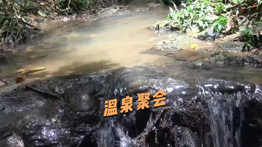 首席医官-186-187-复诊-温泉聚会