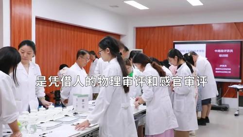 爱喝茶的你必修的茶叶知识!专业评茶师带你辨别茶叶品质好坏