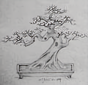 亚志019 