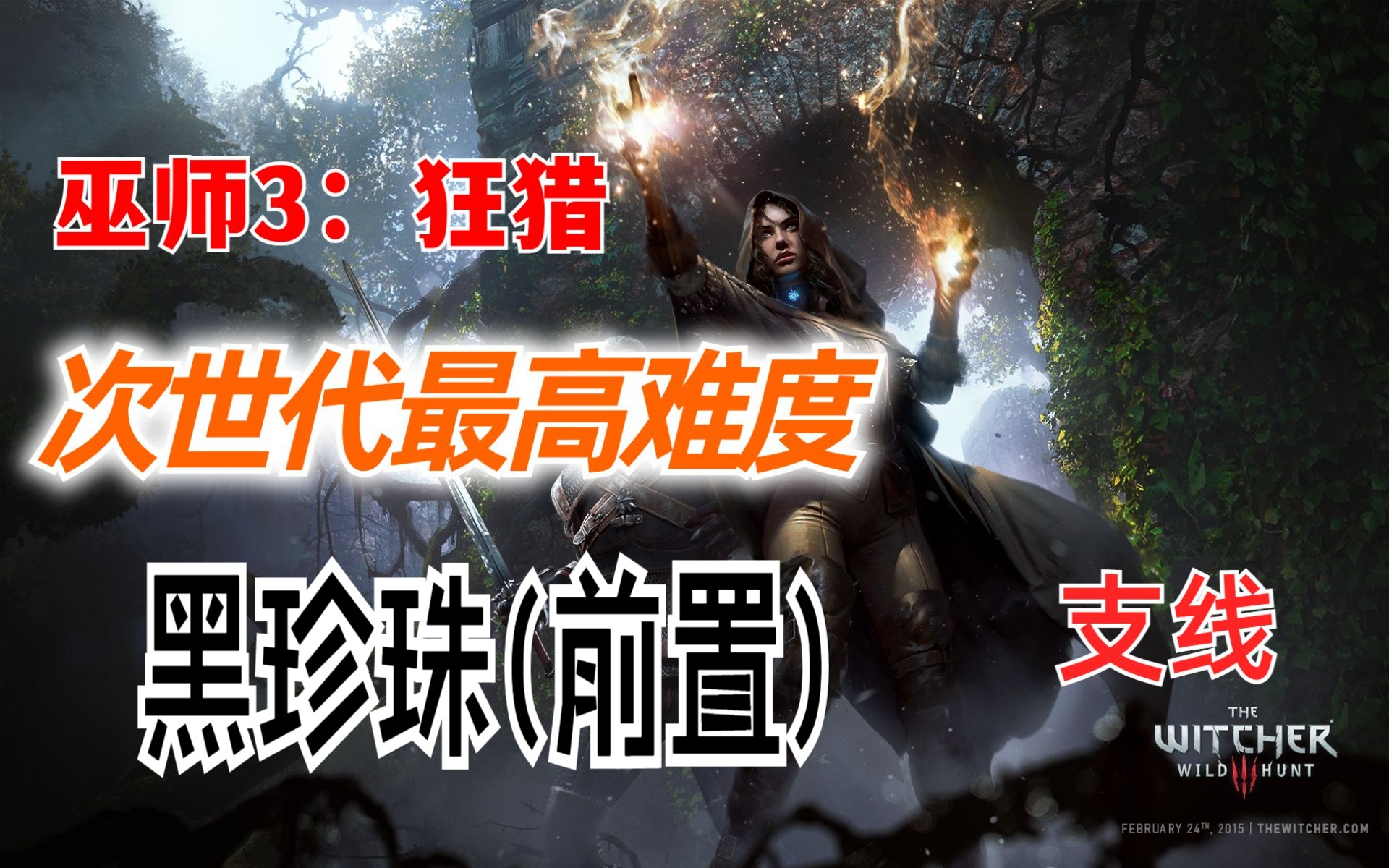 《巫师3:狂猎》次世代 最难 全任务|诺维格瑞 支线4-3黑珍珠(前置)