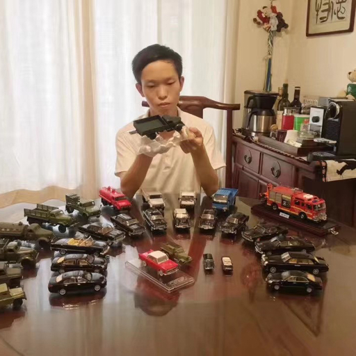 汽车模型收藏爱好者 