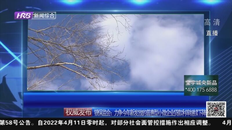 [都市零距离]银保监会:力争今年新发放的普惠型小微企业贷款利率继续...