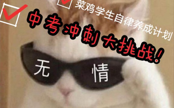 #自律养成计划#垃圾初三党八十天逆袭跟踪√ 一起加油!