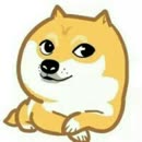 胖虎的虎虎 