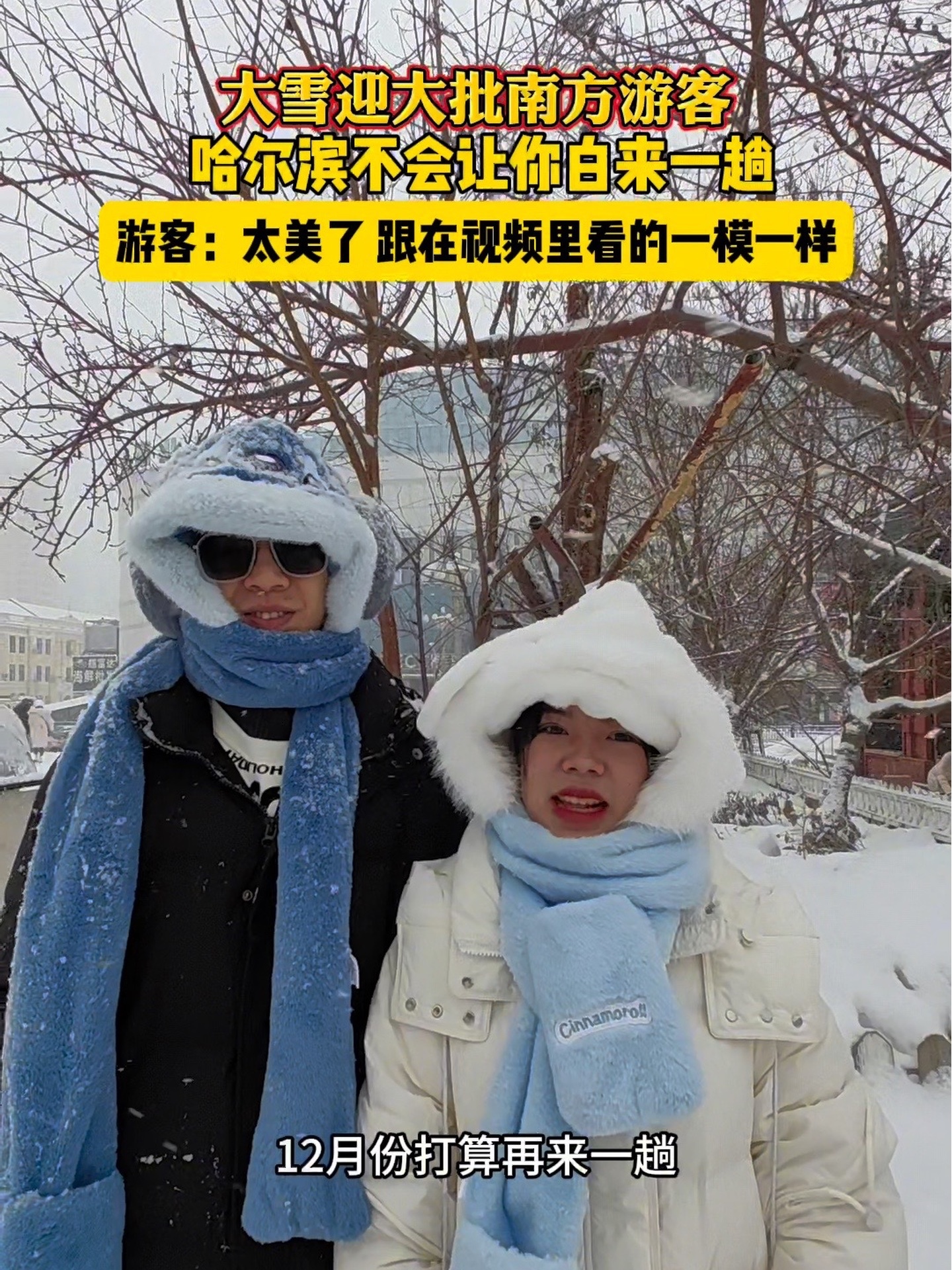 太美了,跟在视频里看的一模一样