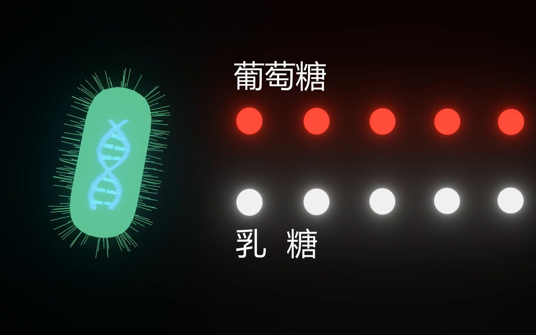 【生物】基因选择性表达到底是什么 葡萄糖与乳糖不可得兼