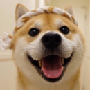 文子先生m 