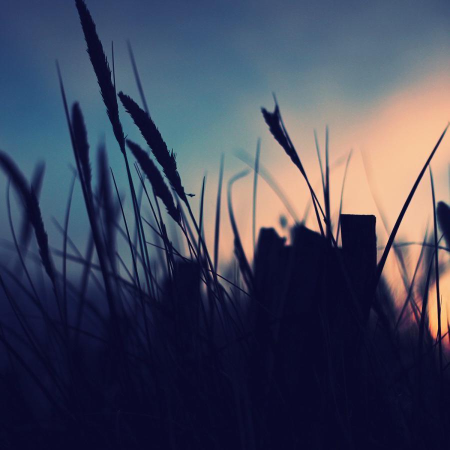 天弟妹啊我子民 