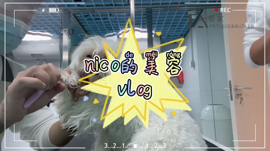 #宠物洗澡 #家有萌宠 #宠物店 #日常vlog #狗狗 #宠物 #宠物日常