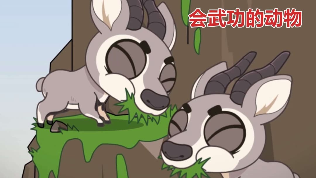 摩登大自然 第二百一十九集 有些动物都是有武功滴~