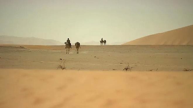 沙漠中的救命树:划开树皮就能喝水,引进中国却变了用途!