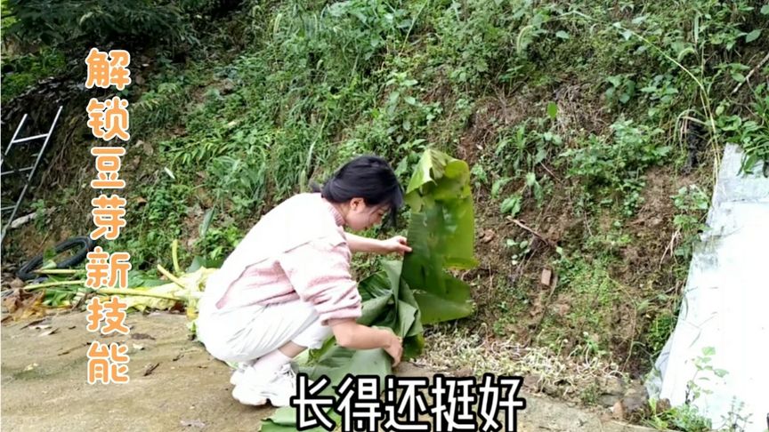 用了3天时间记录了豆芽两种做法从发到生长到做法全过程。