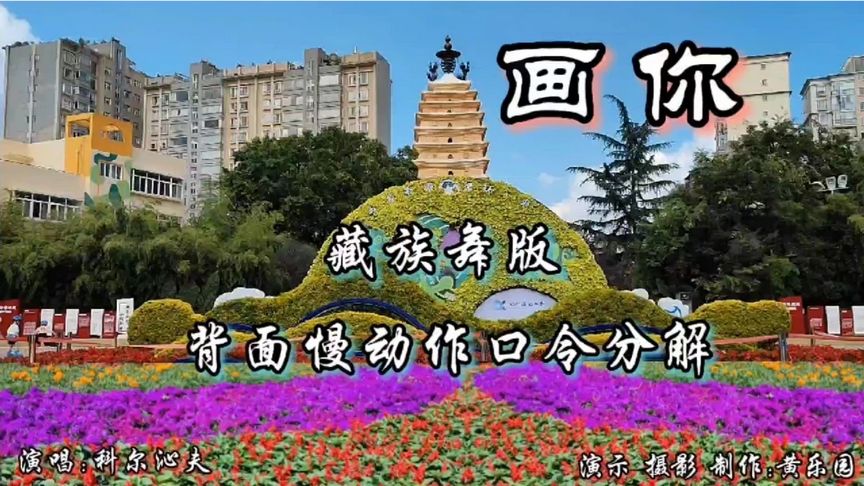 画你#好看的藏族舞#背面慢动作口令分解,原来如此简单