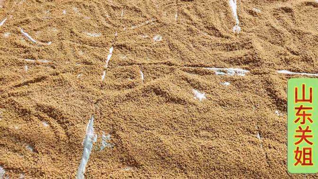 一年时间拍摄麦子生长,从田间到饭桌上馒头,用镜头记录每个瞬间