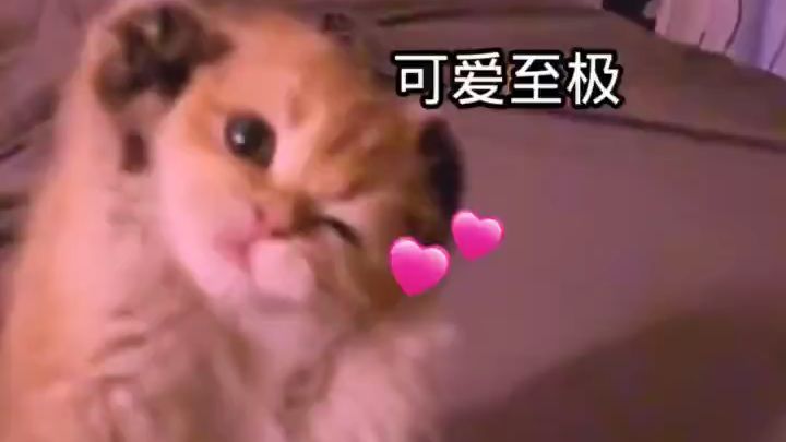 女朋友撒娇的样子