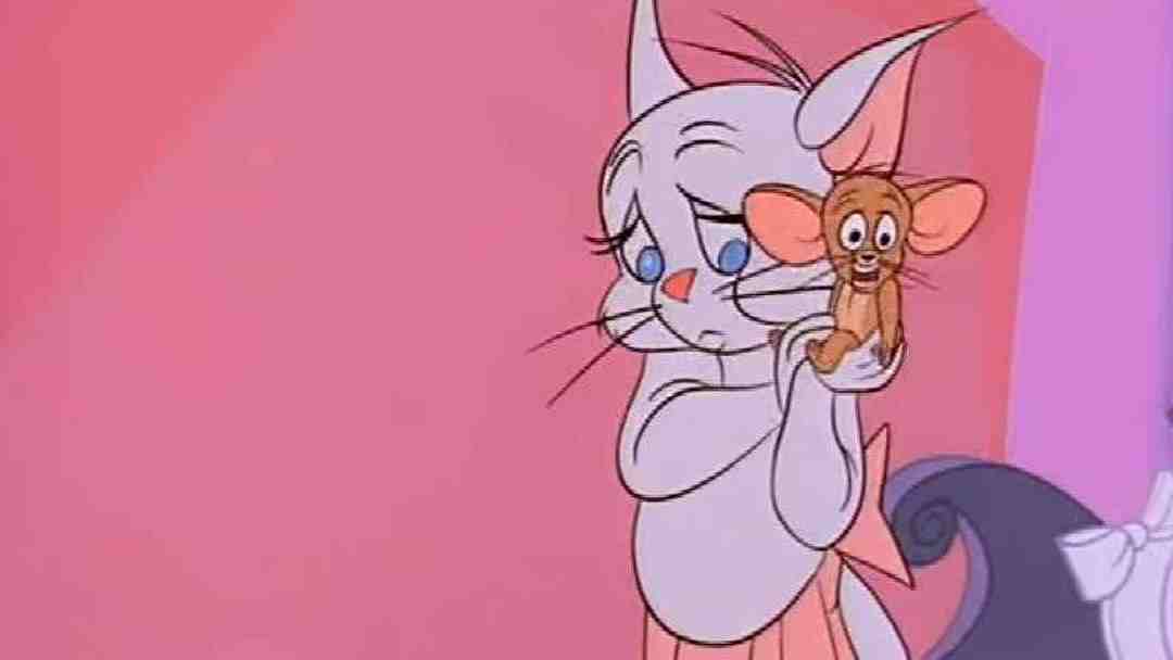 搞笑动画猫和老鼠:汤姆猫又陷入爱河了,这次能成功吗?