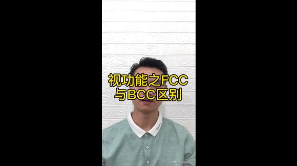 视功能之FCC与BCC区别