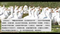 18牛和鹅 四年级上册语文