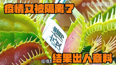 搞笑配音:疫情又被隔离了,结果出人意料