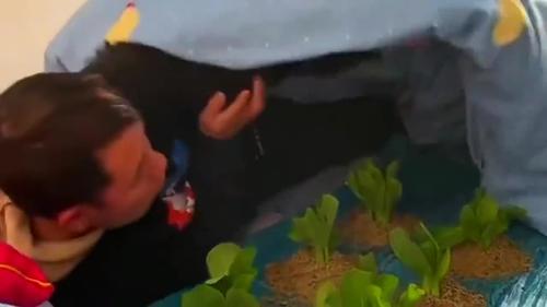 天气越来越冷,再不把菜升温,菜就该冻坏了