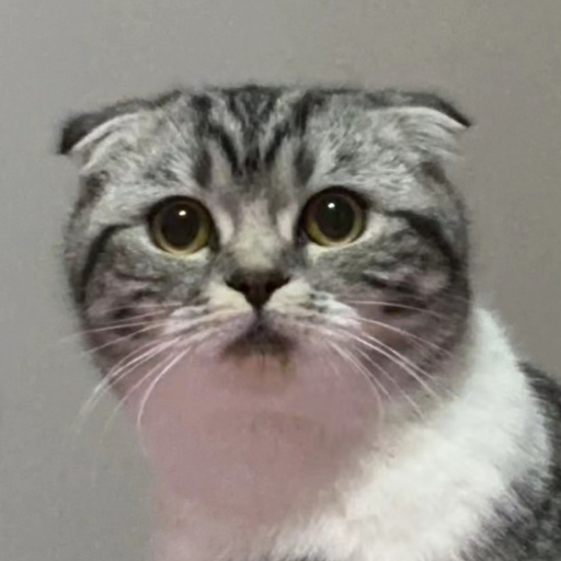 ボラ_Ake 