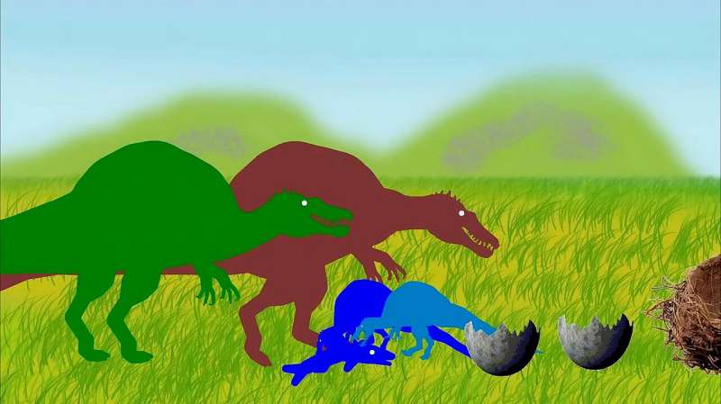 奇妙卡通 棘背龙宝宝出生了