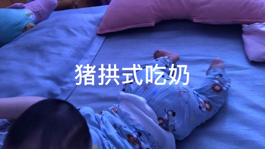 莫名有种被猪拱的感觉,不知该哭还是该笑,吃奶还能吃出来个姿势