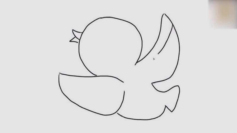 小鸟的简笔画,真好看
