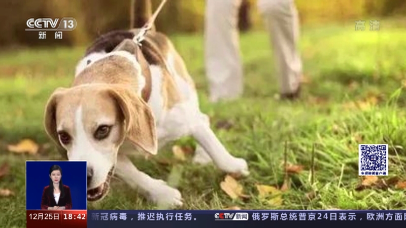 [共同关注]一问到底 动物致人受伤现象频发 如何科学防治?