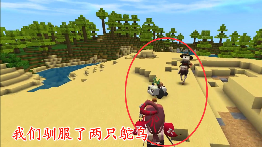 迷你世界联机47:我们在沙漠里,用西瓜片驯服了两只鸵鸟