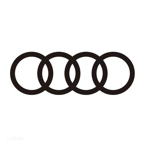 一汽奥迪深圳锦龙 