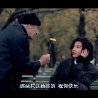 球乐七 