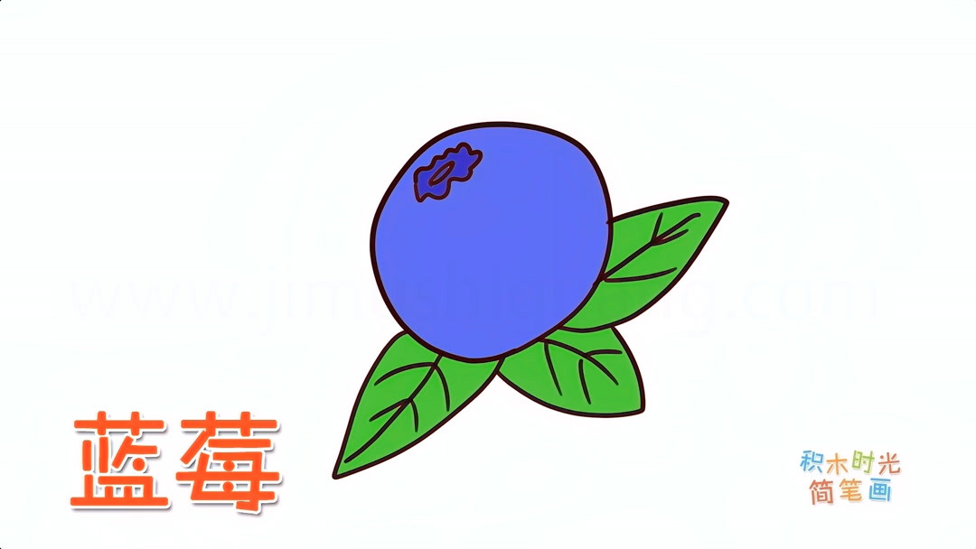 水果简笔画教程,如何画蓝莓简笔画