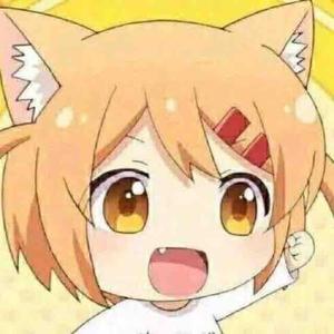 光仔单车日记 