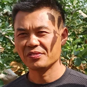 唐老师果园管理展现 