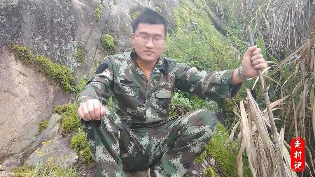 农村小伙棕榈树上采摘棕籽,农家菜最好的食材,你们吃过吗