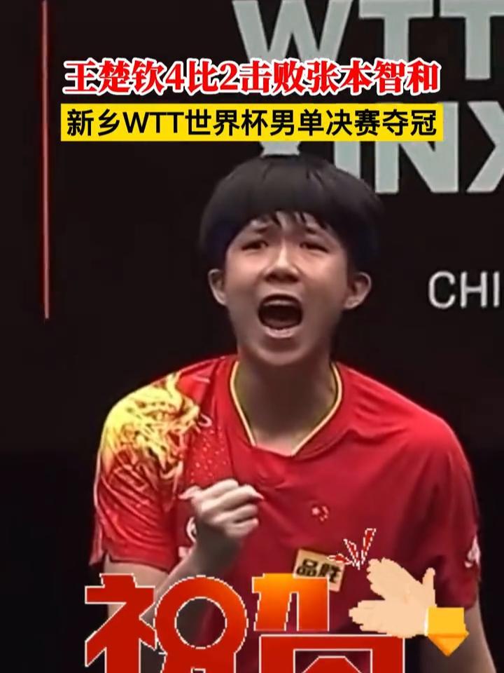 新乡WTT世界杯男单决赛,王楚钦4比2击败张本智和夺冠! #王楚钦战胜...