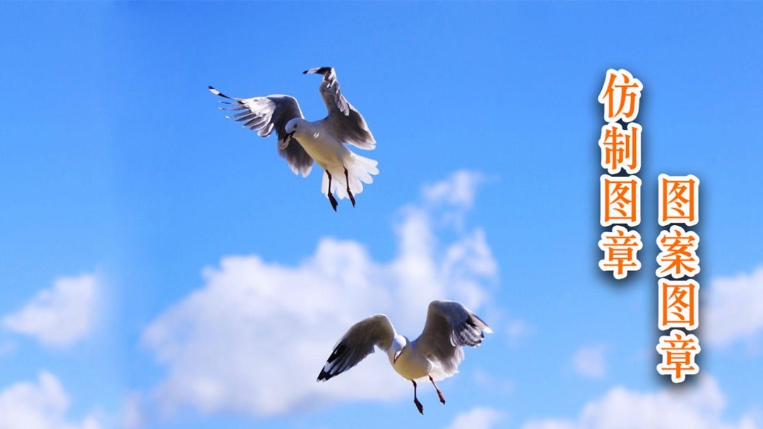 14.仿制图章图案图章