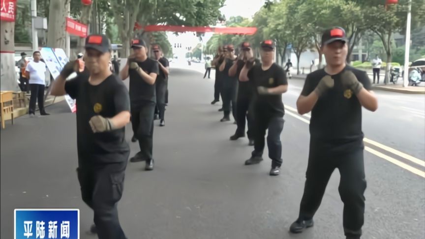 平陆县开展“全国保安主题宣传日”活动