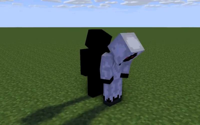 「我的世界动画」实体303 vs Null