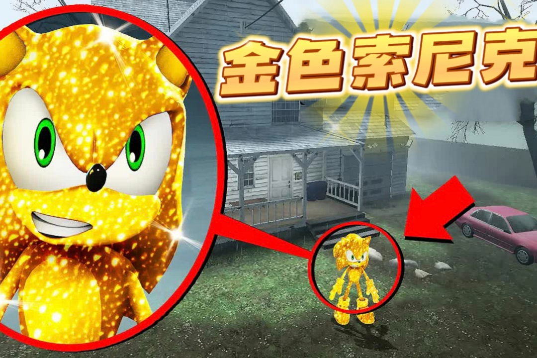 盖瑞模组:二蛋遭到金色版索尼克袭击,大狗潜入屋内营救!